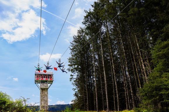 Phoenix | Fly up to 70mph on the world’s fastest seated… | Zip World Phoenix | Fly up to 70mph on the world’s fastest seated… | Zip World